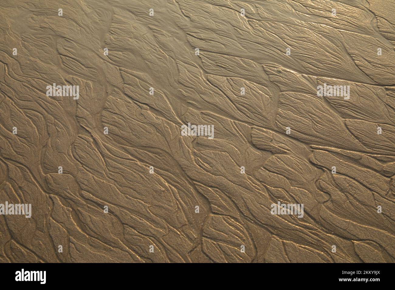 Seamless coastal pattern hi-res stock photography and images - Alamy