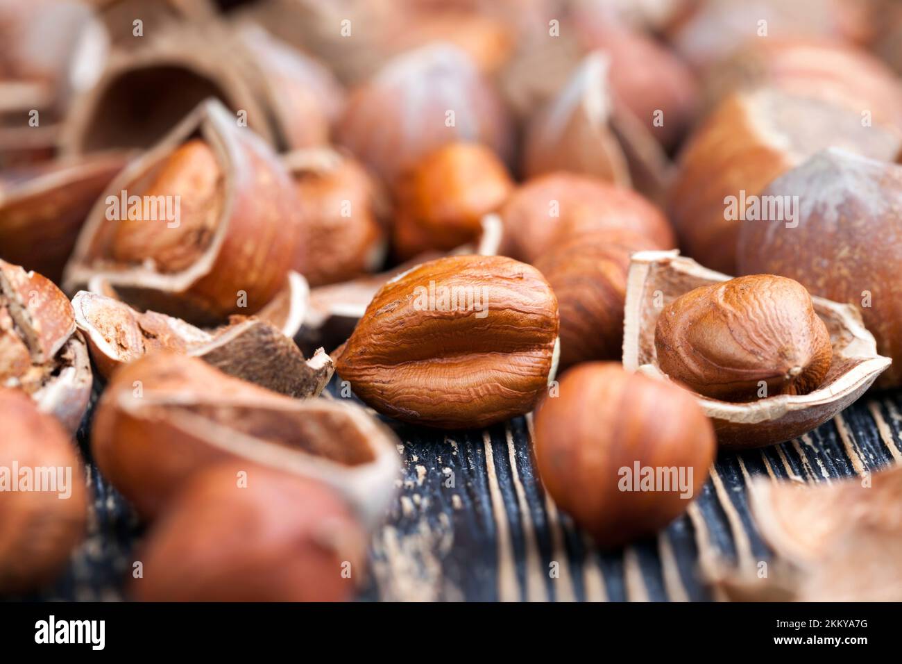 split hazelnuts on the table, split shells on raw hazelnuts during the ...
