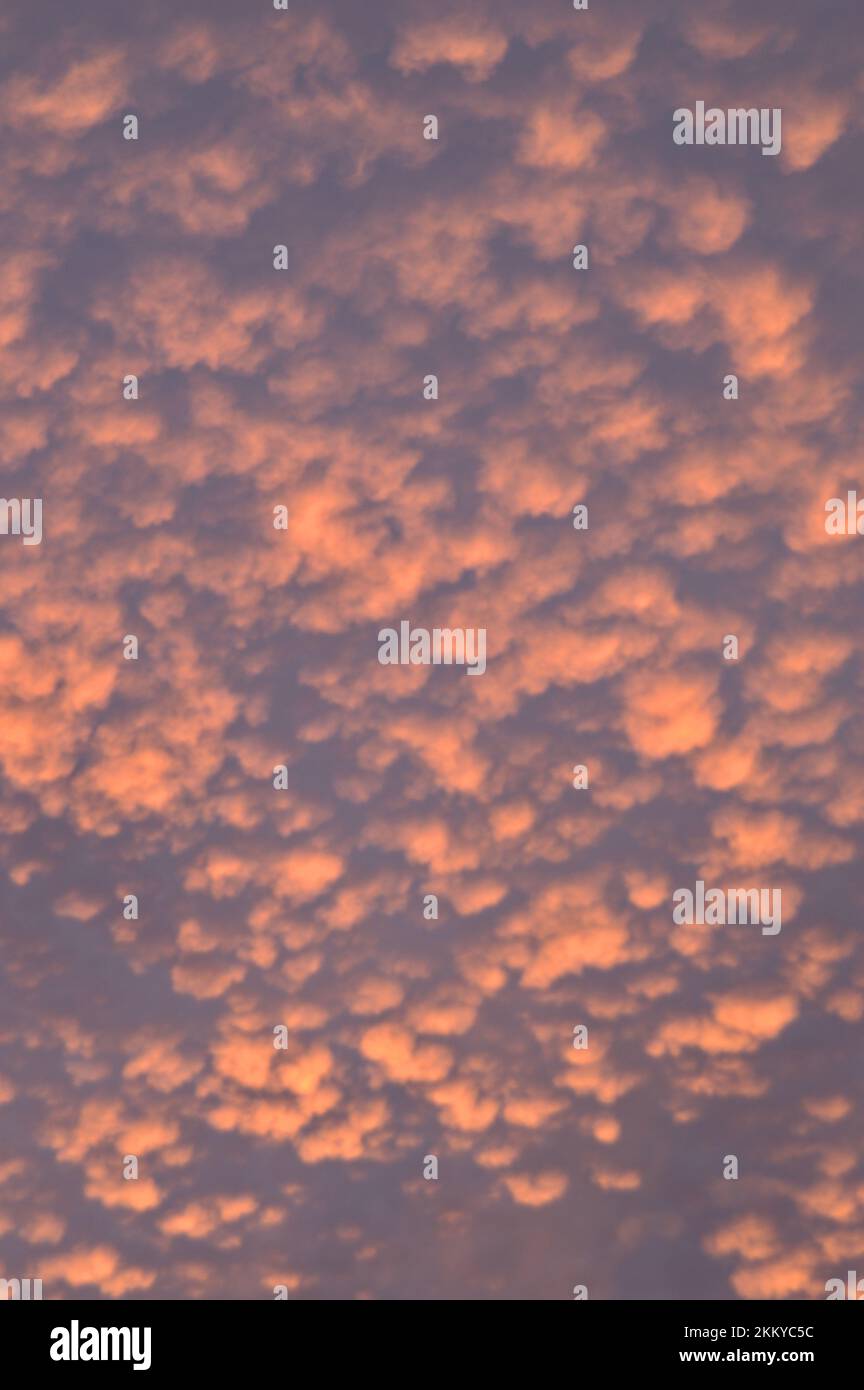 red clouds in a summer sunrise. sunrise clouds Stock Photo - Alamy