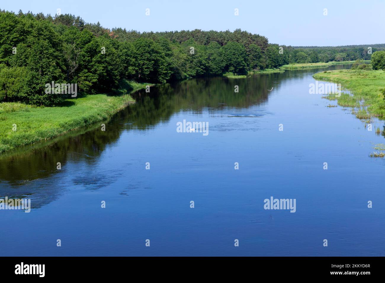 a summer landscape with green grass and deciduous trees and a river ...