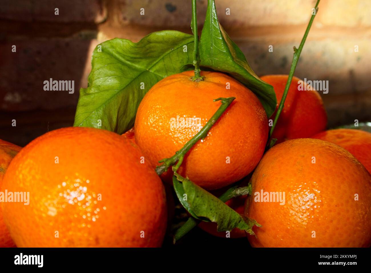 A small bunch of oranges Stock Photo - Alamy