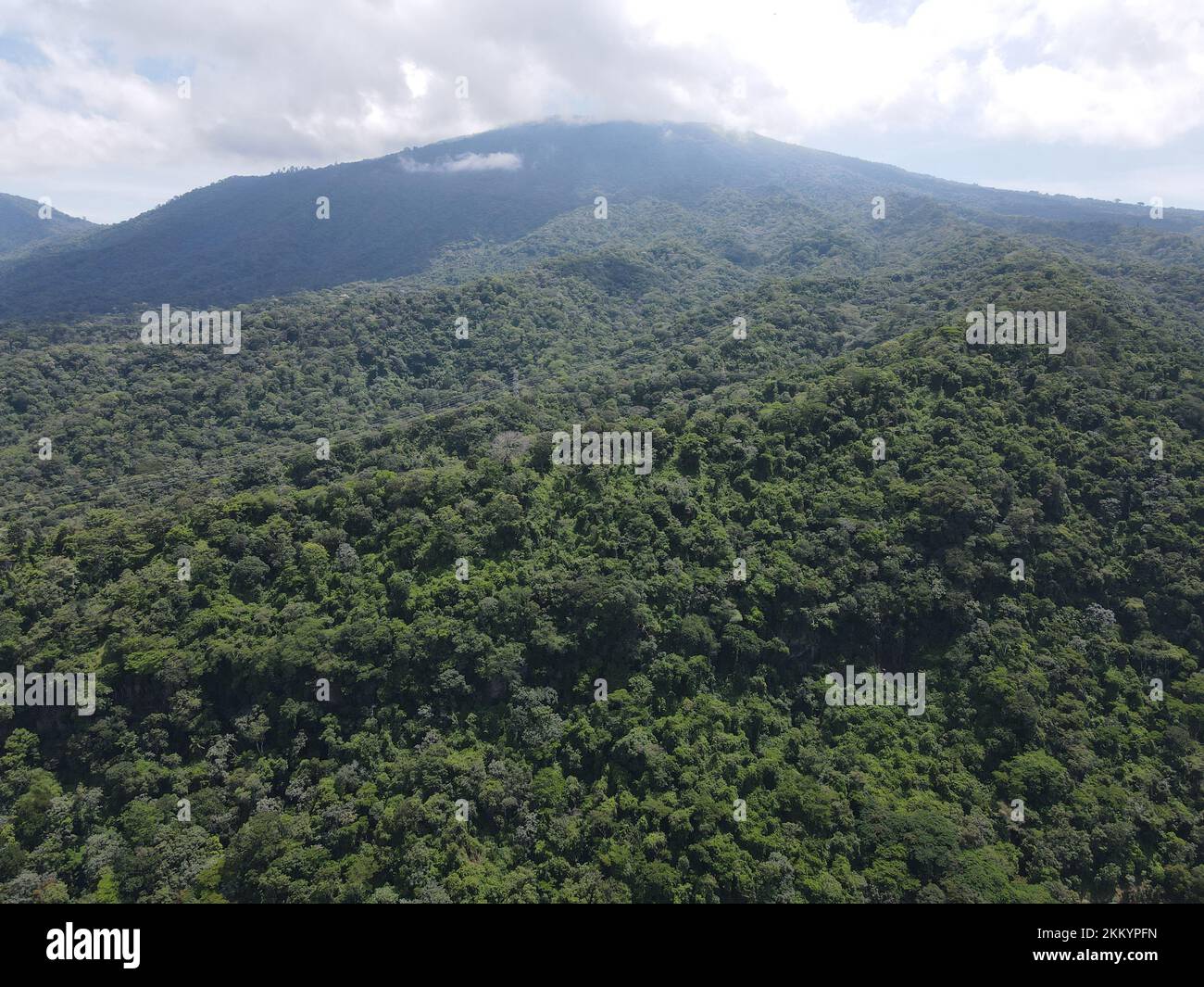 An aerial view of a mountainous landscape with lush green forest in a ...