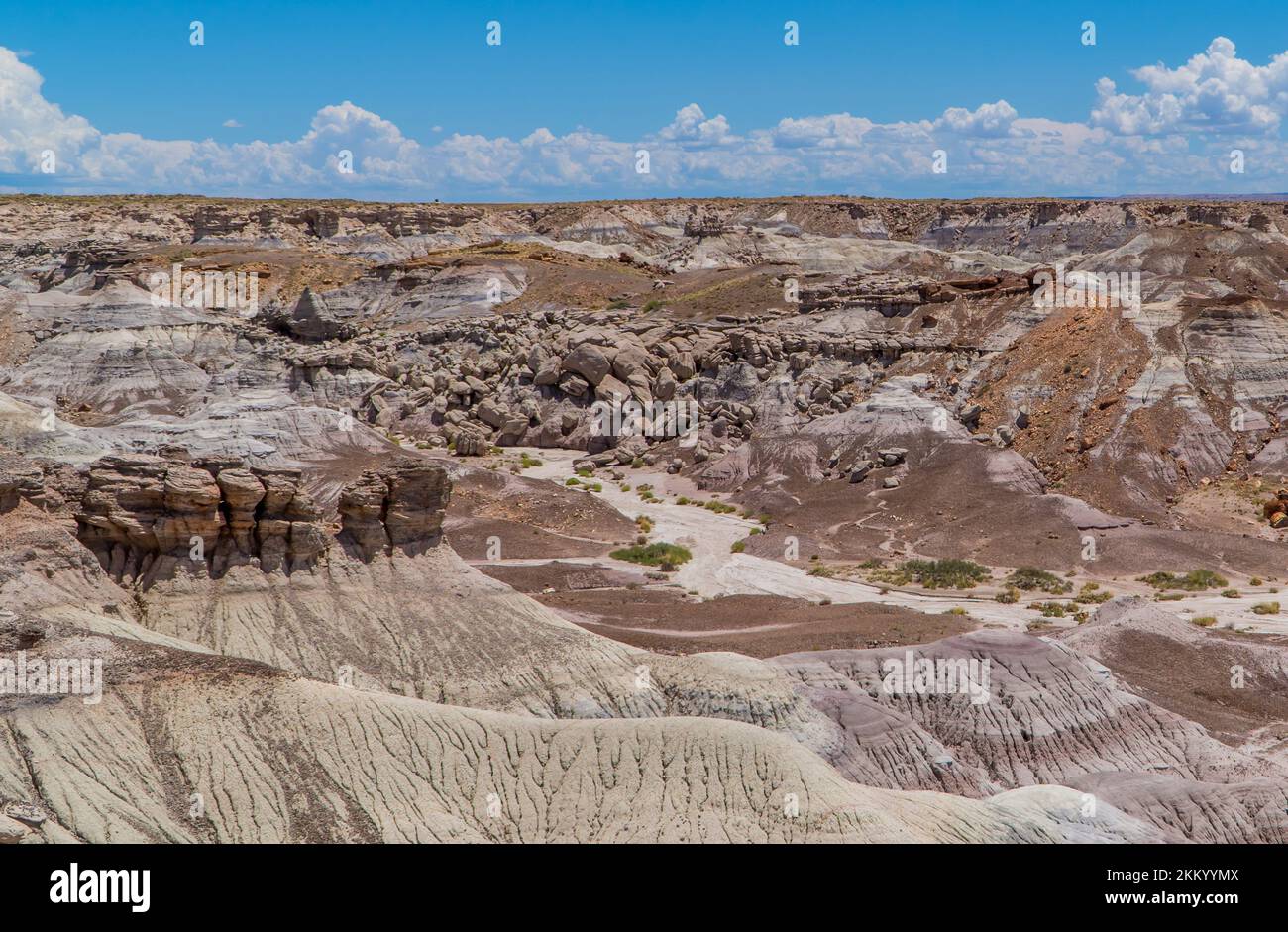 A scenic view of the Badlands landscapes in the Petrified Forest ...