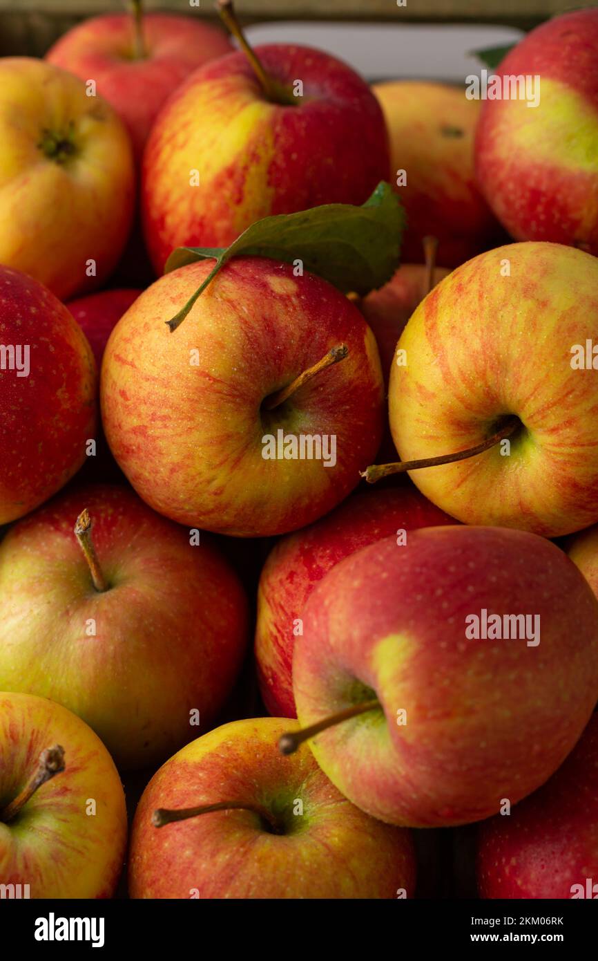 Fresh red and yellow apples close up food background Stock Photo - Alamy