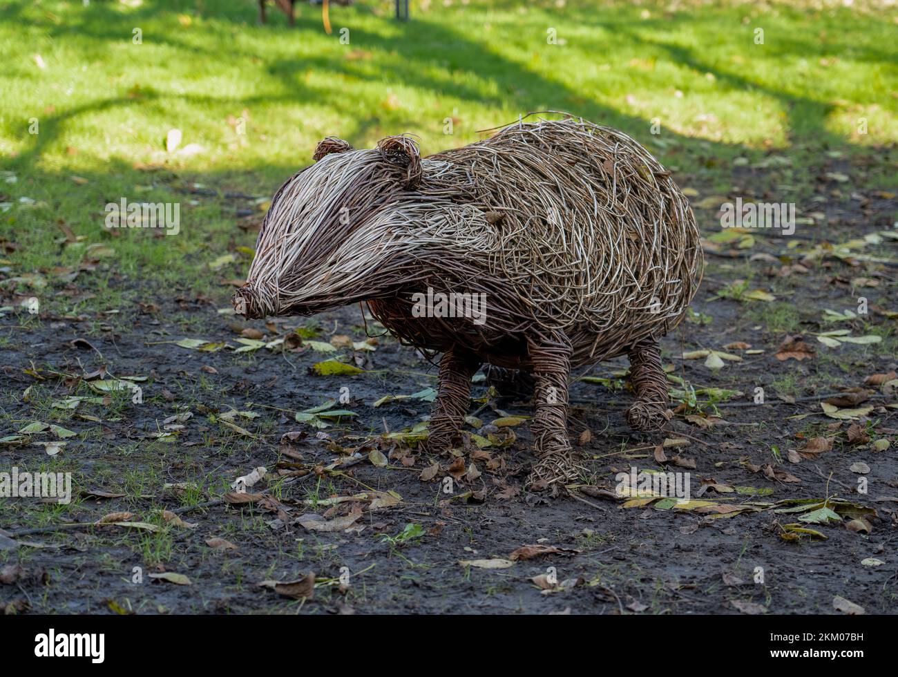Badger, a woven willow flora and fauna sculpture in a large garden ...