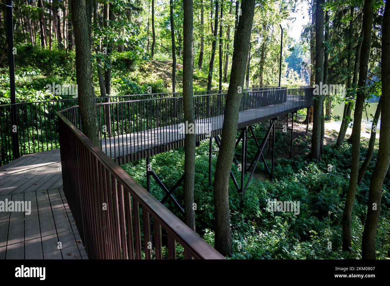 Walking pedestrian flooring laid in a forest area along the shore of a ...