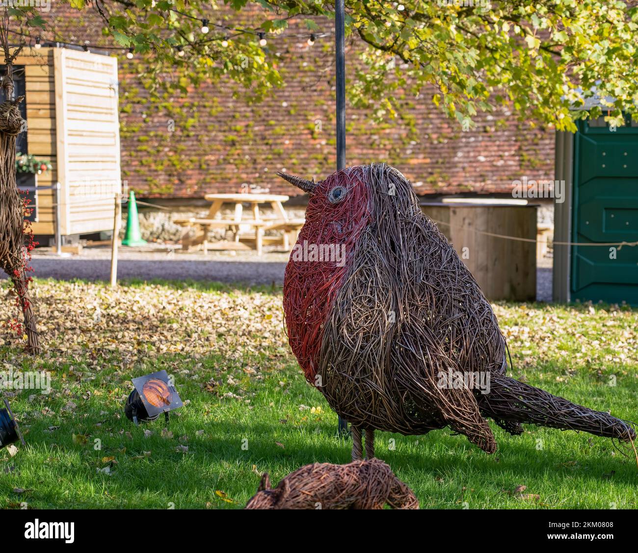 Robin redbreast, a woven willow flora and fauna sculpture in a large ... Robin redbreast, a woven willow flora and fauna sculpture in a large ...