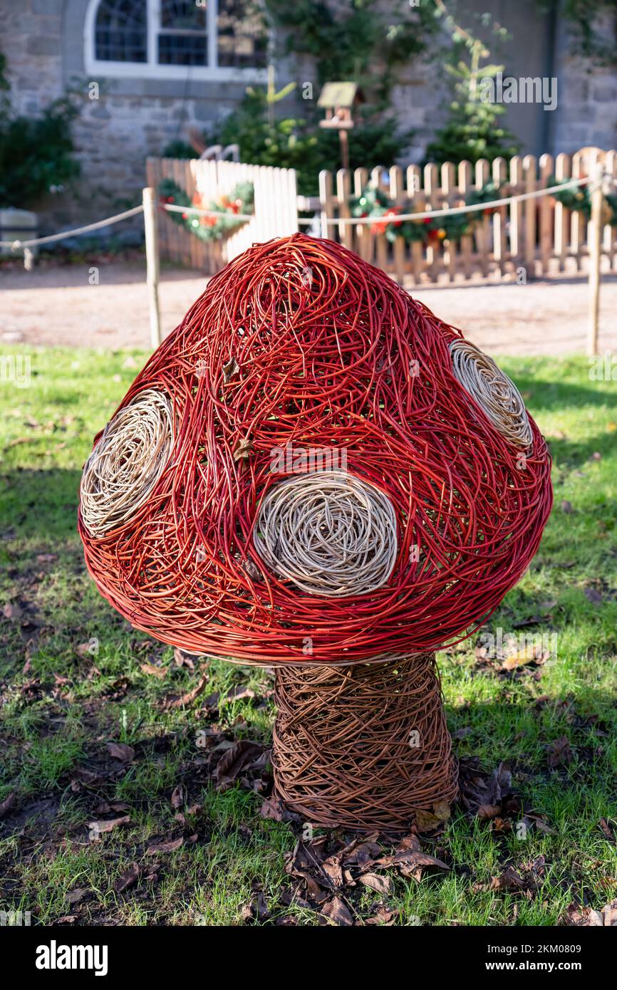 Red and white toadstool, a woven willow flora and fauna sculpture in a ... Red and white toadstool, a woven willow flora and fauna sculpture in a ...
