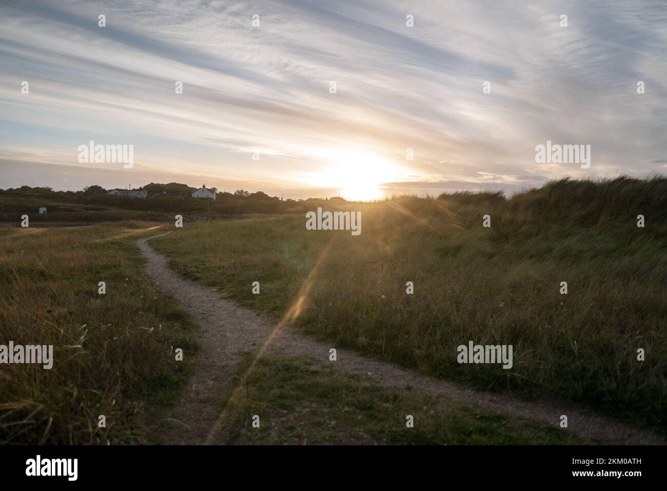 Sunset View over beach grass. Outdoor scene of coast in nature of ...