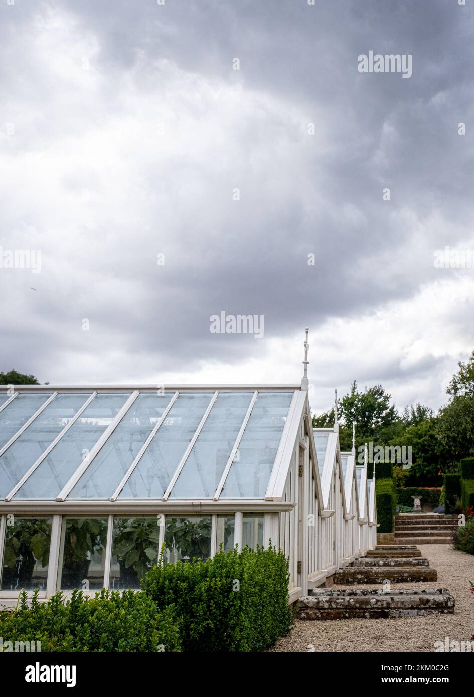 A vertical shot of the elegant Victorian greenhouses at Eythrope ...
