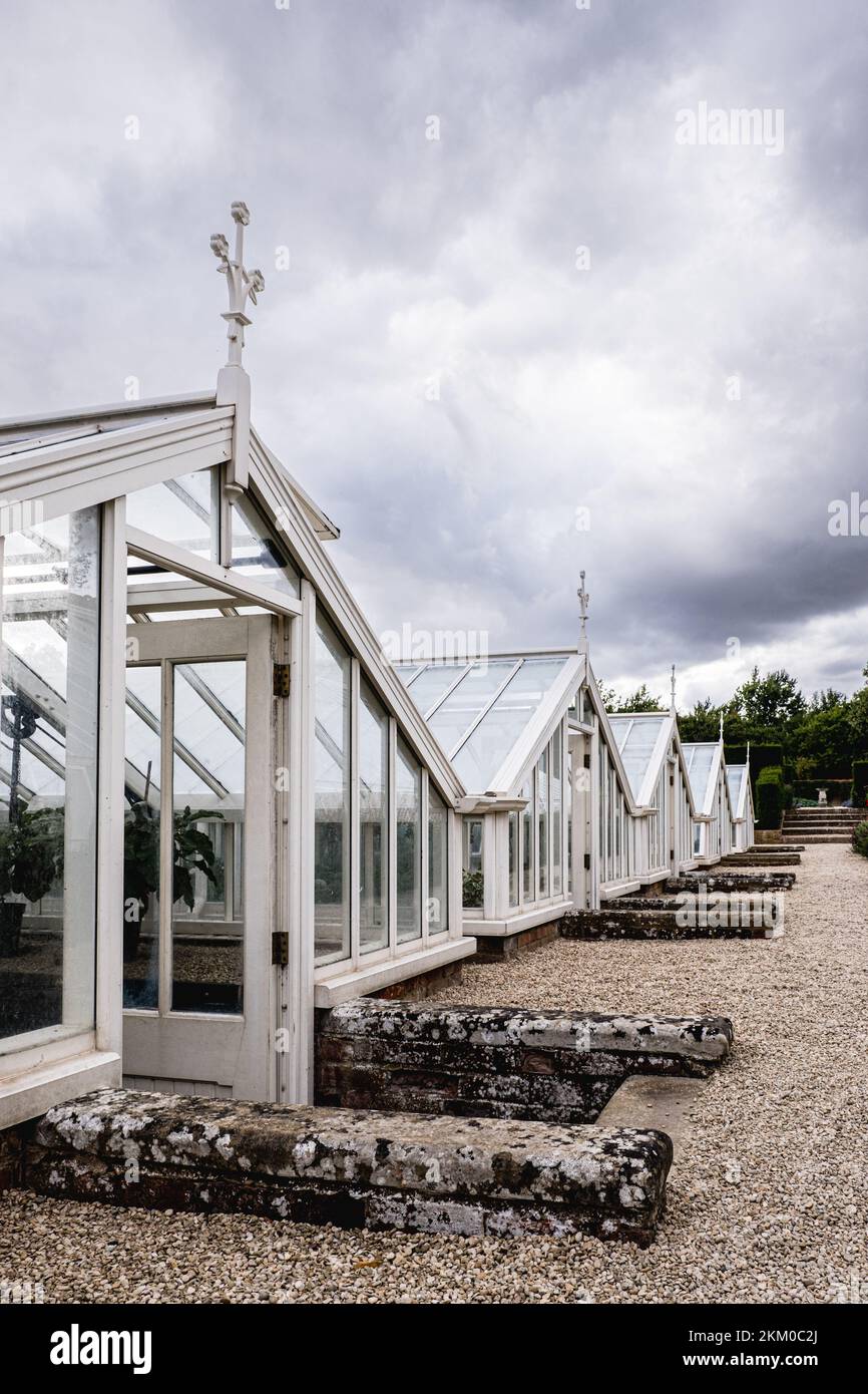A vertical shot of the elegant Victorian greenhouses at Eythrope ...