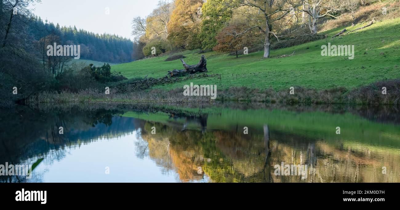 Still waters environment hi-res stock photography and images - Alamy