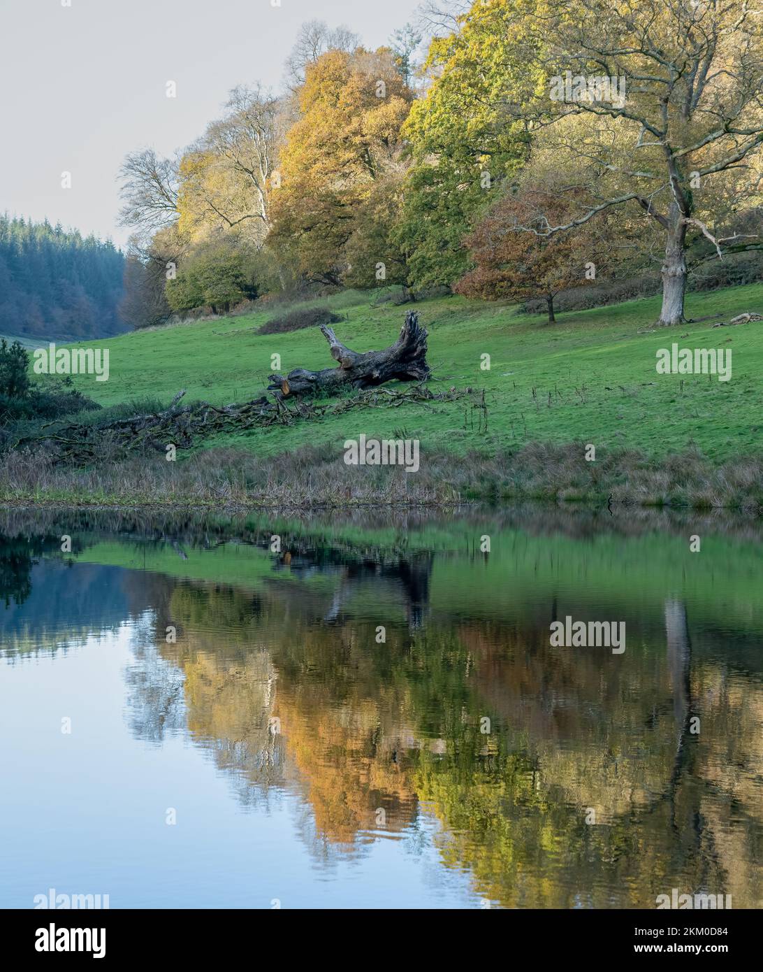 Still waters environment hi-res stock photography and images - Alamy