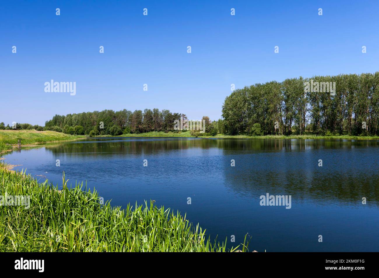 a summer landscape with green grass and deciduous trees and a river ...
