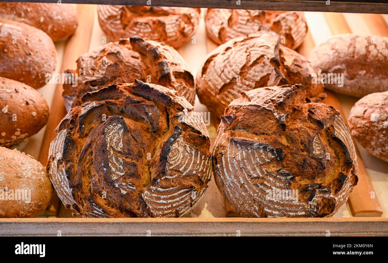 24 November 2022, Brandenburg, Oberkrämer: A wide selection of ...