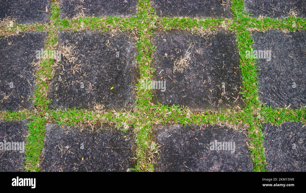 concrete block road with green grass in between. as background Stock ...