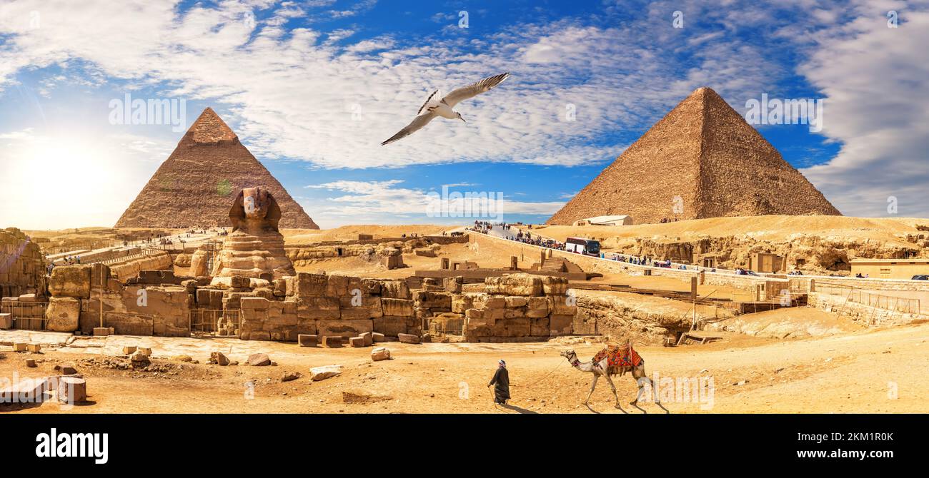 The Great Sphinx panorama by the Pyramids of Egypt, sunset view, Giza ...