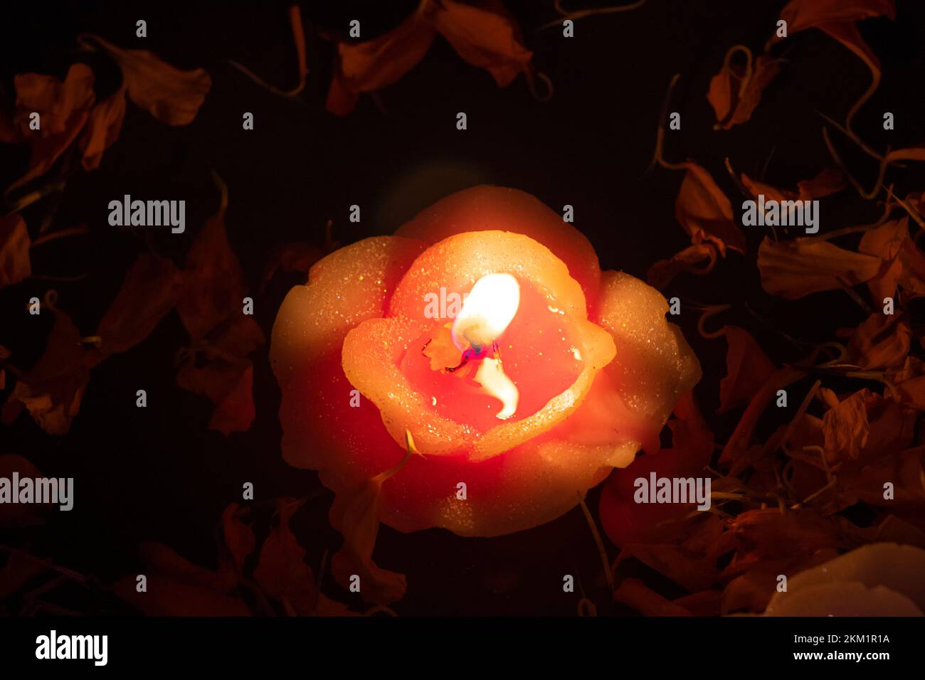 Decorated Diwali lights with colorful diya oil lamp and decorative ...