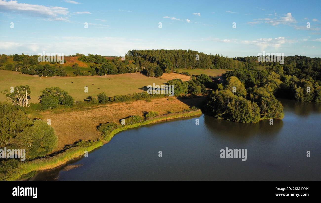 An aerial view of the beautiful nature of the New Forest in the evening ...