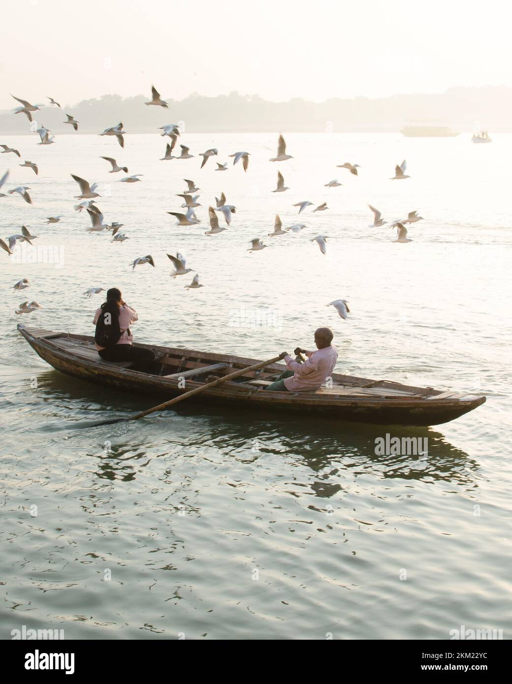 A tourist riding a small boat with seagulls flying over the sea Stock ...