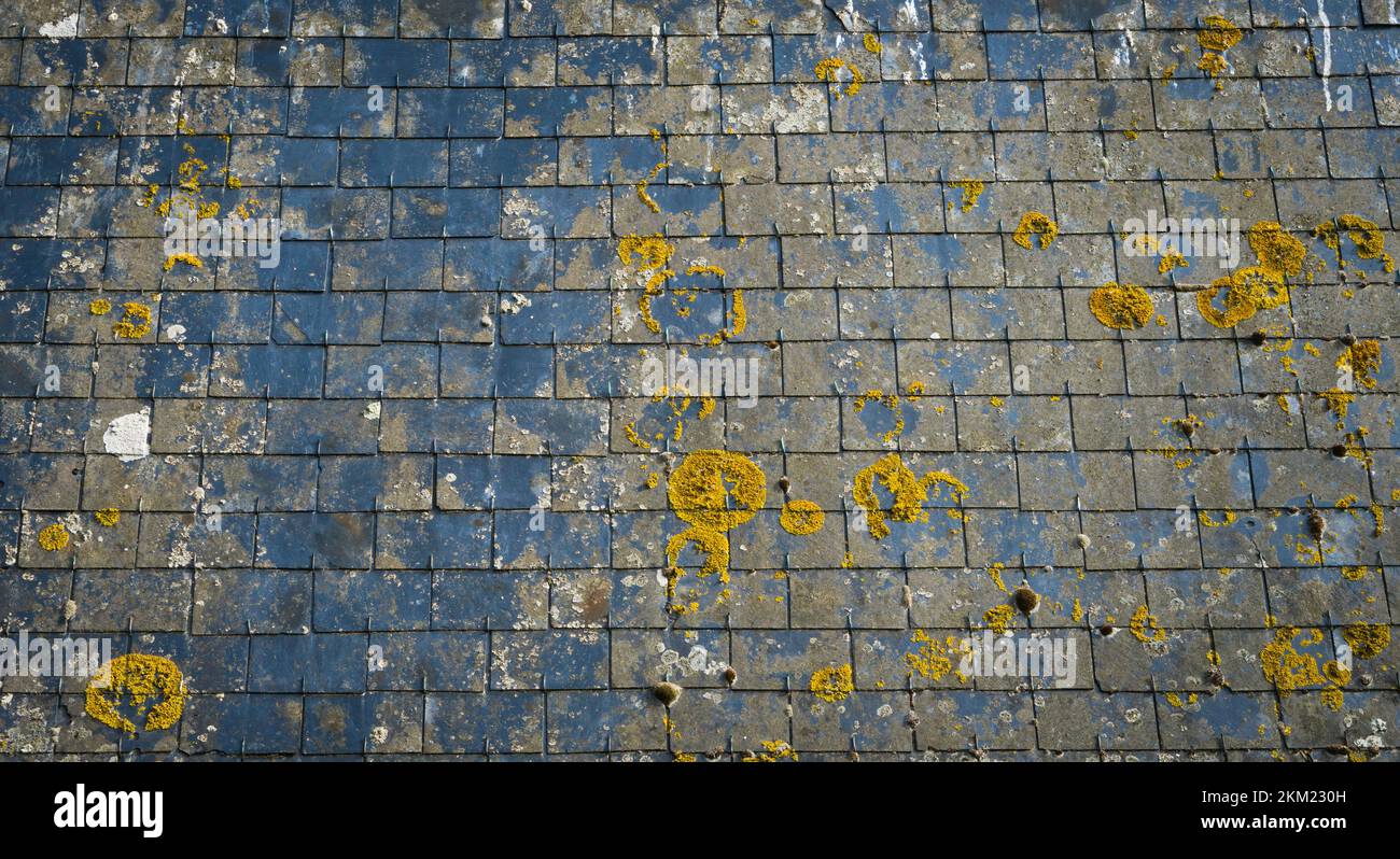 Roof of a house with dark slate and moss tiles, with lots of texture in ...