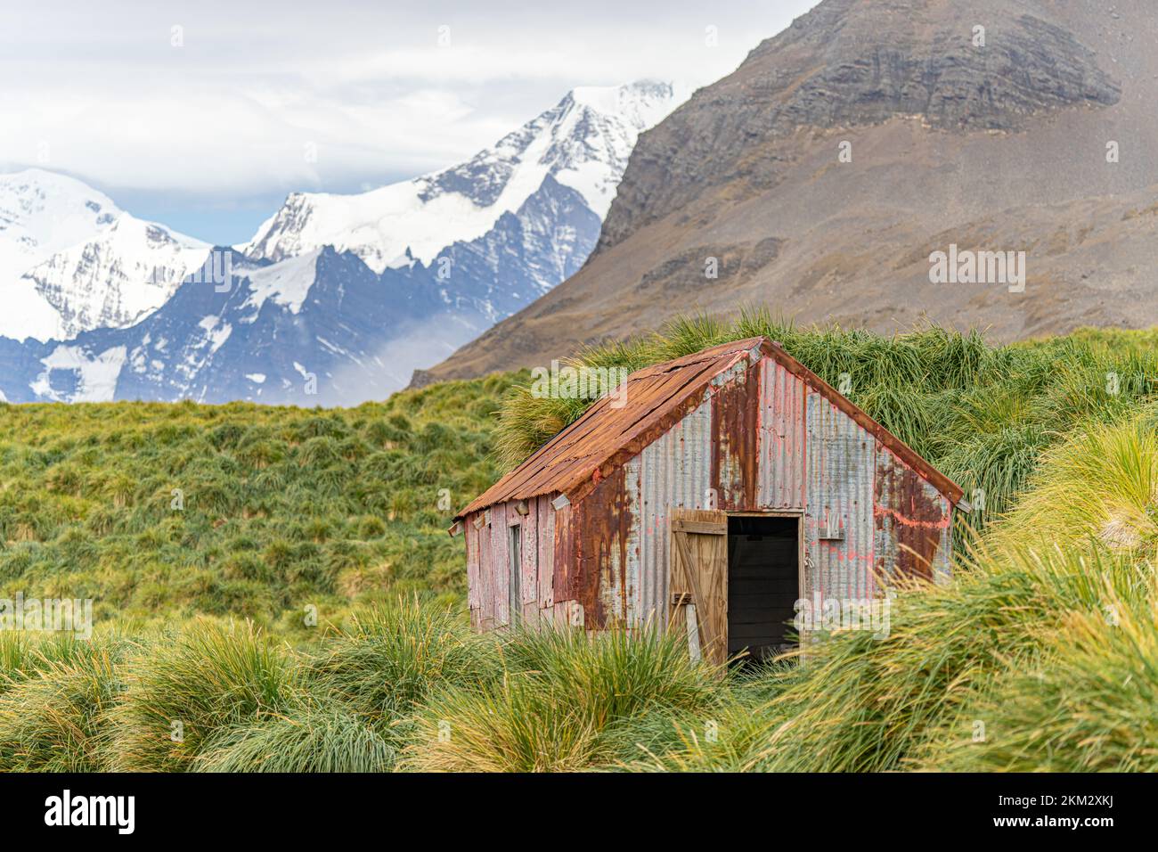 South Georgia Landscape Idyll in Jason Harbour Lagoon Point Stock Photo ...