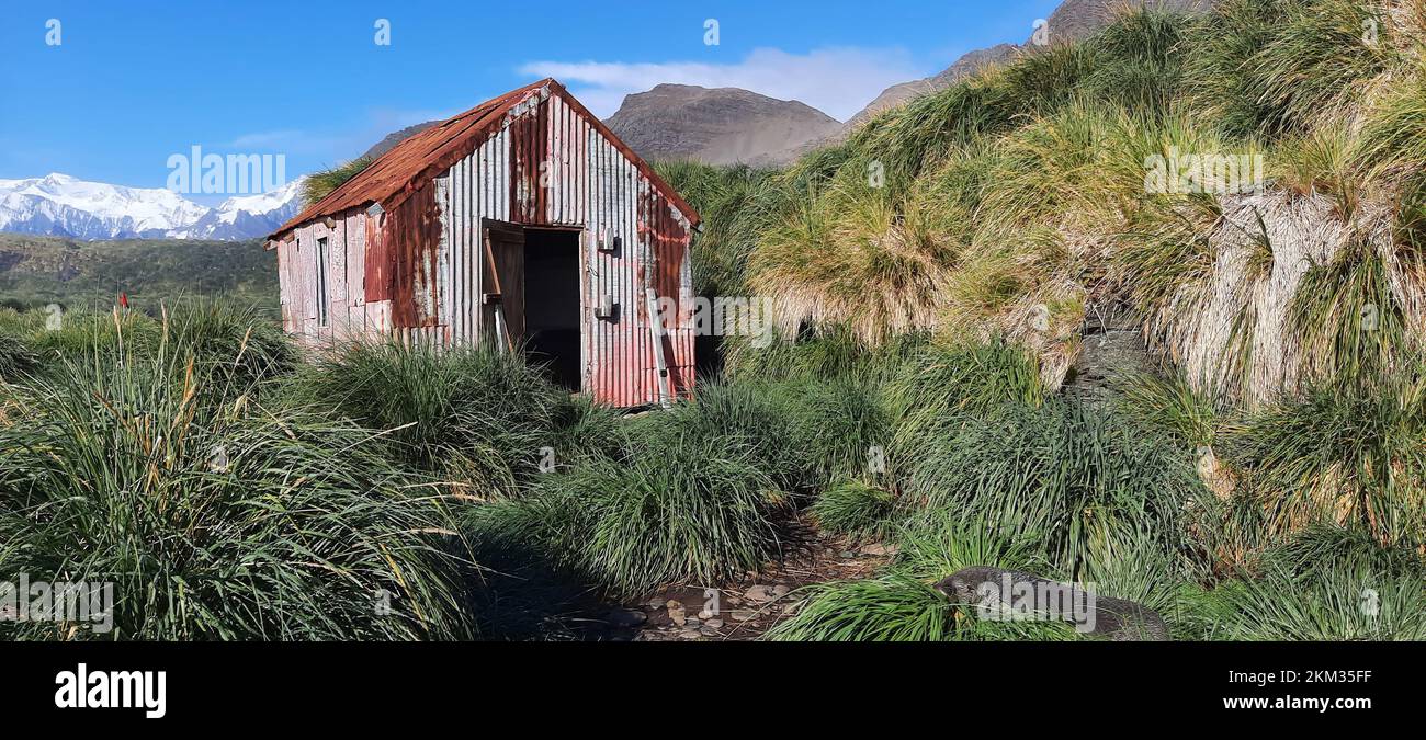 South Georgia Landscape Idyll in Jason Harbour Lagoon Point Stock Photo ...