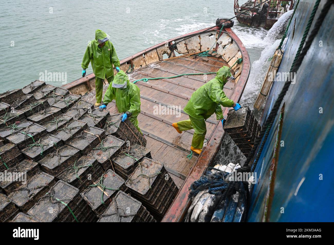 Abalone boat hi-res stock photography and images - Alamy