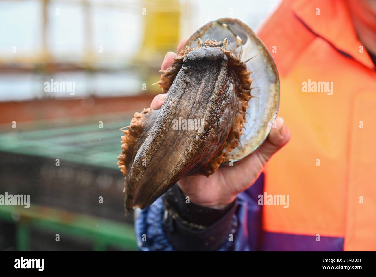 Fujan, China. 25th Nov, 2022. (221126) -- LIANJIANG, Nov. 26, 2022 ...