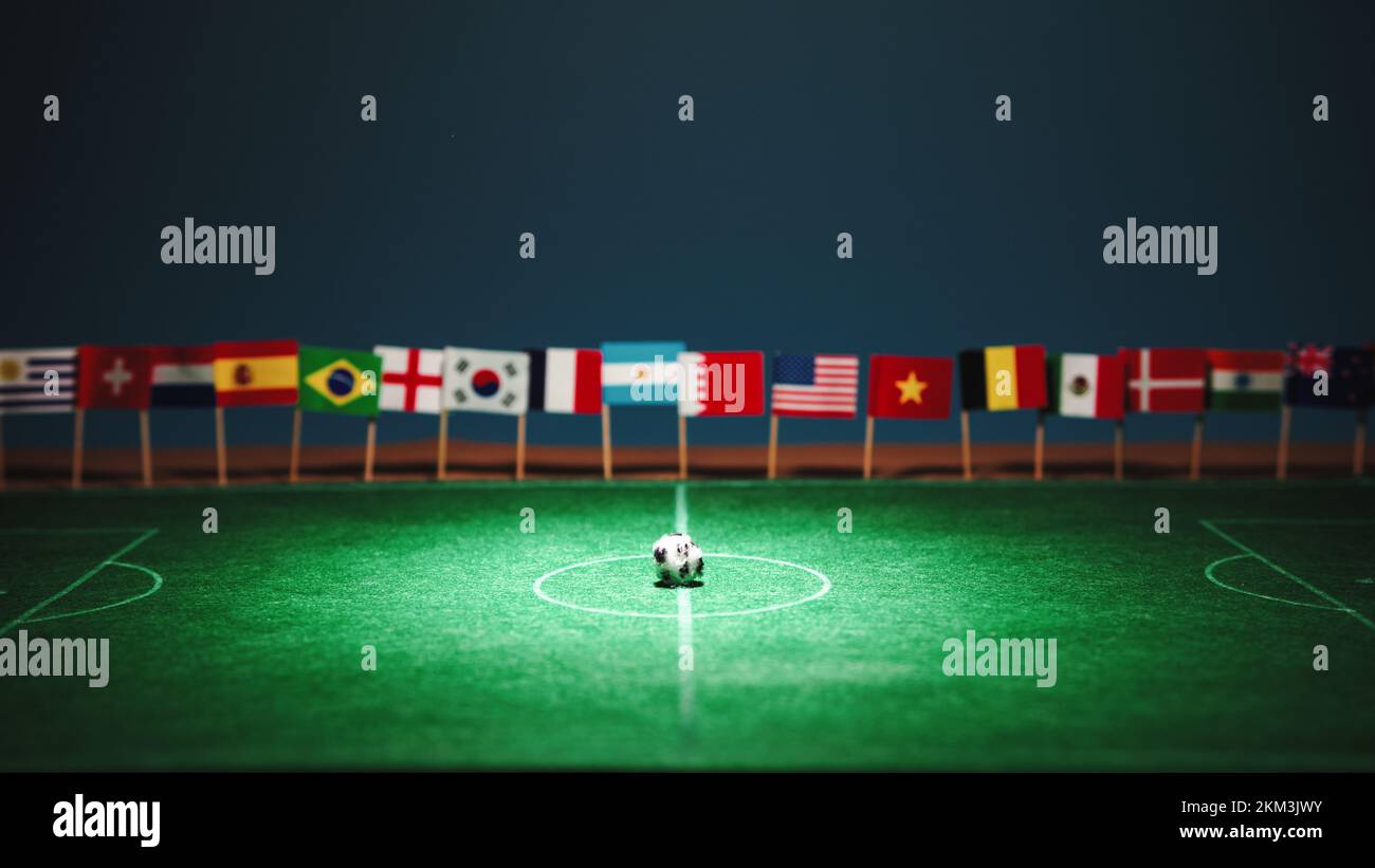 Qatar World Cup Soccer Field Stock Photo - Alamy