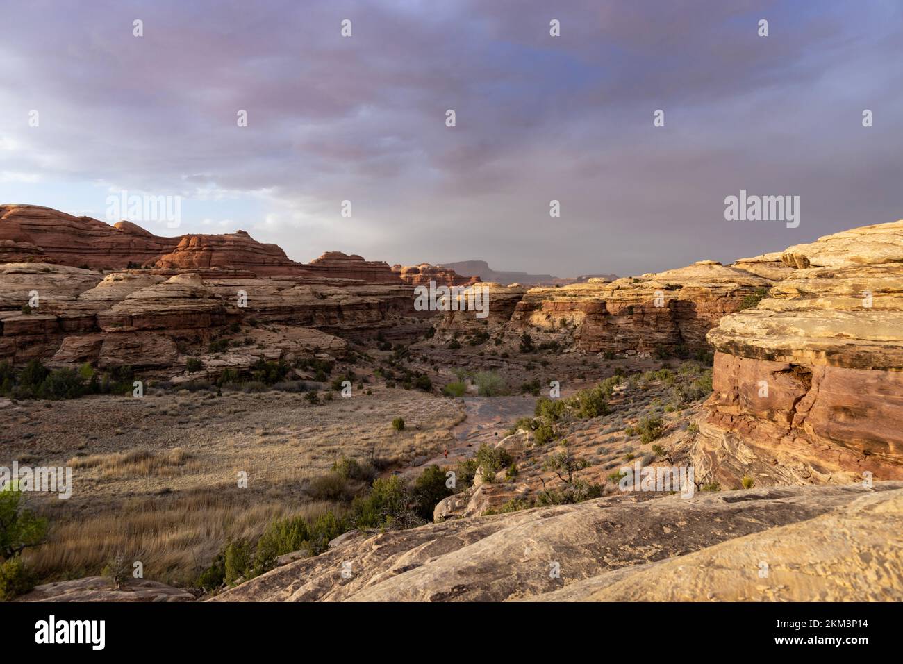 Water Canyon, located in the Maze District of Canyonlands National Park ...