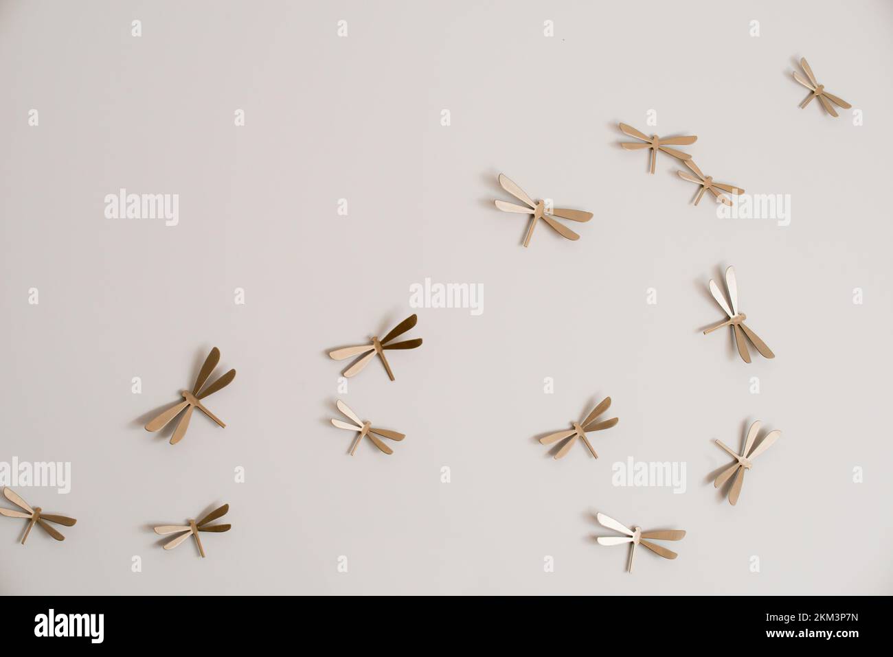 How many dragonflies hi-res stock photography and images - Alamy