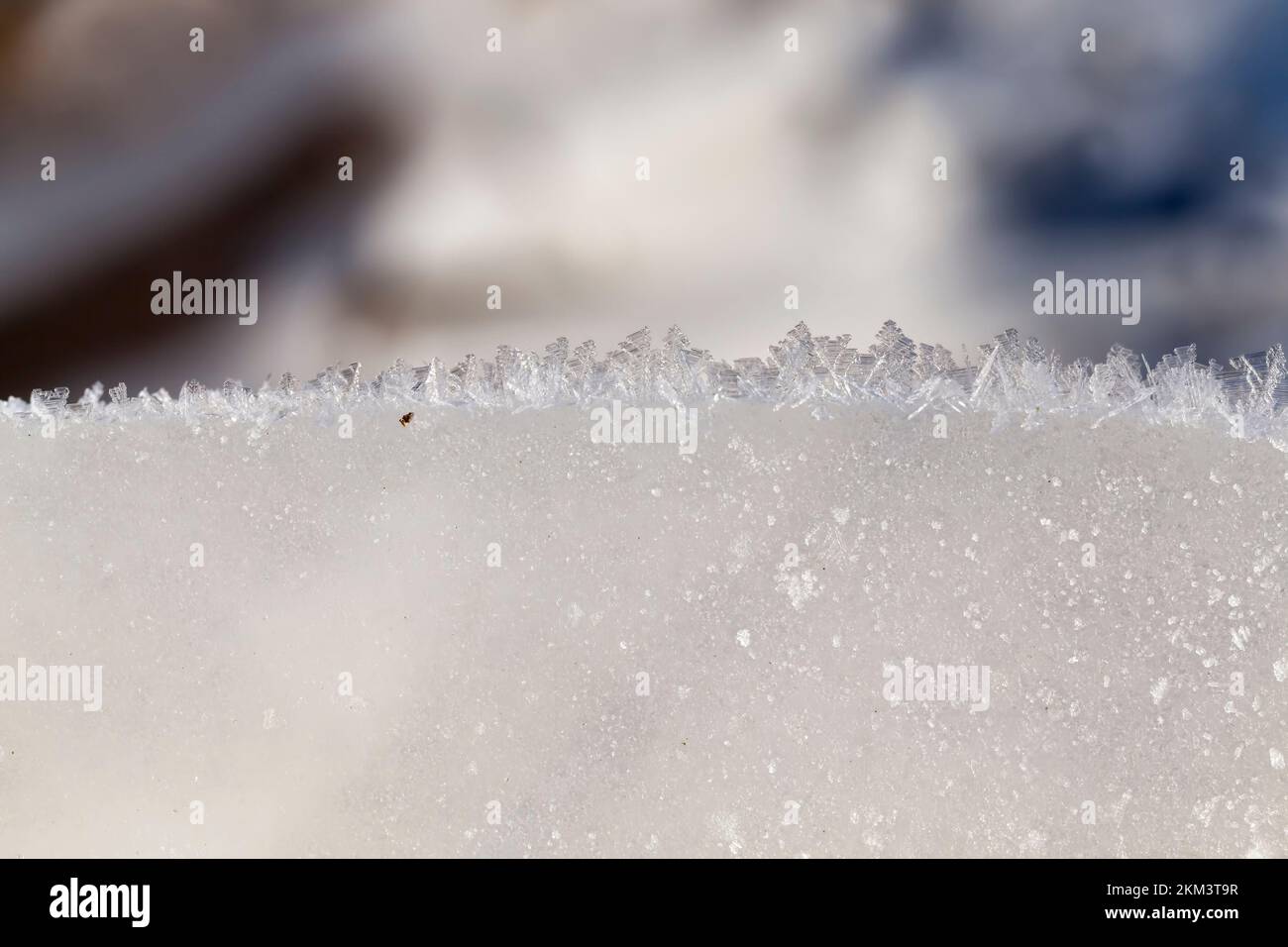a thick layer of ice formed on the territory of the field after rains ...