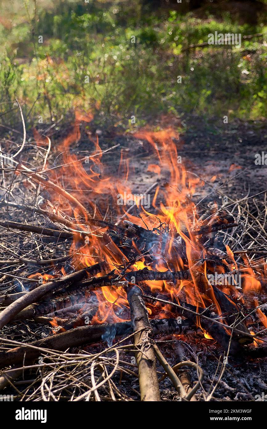 A small wood fire in the field.Out of focus background, grass, small ...