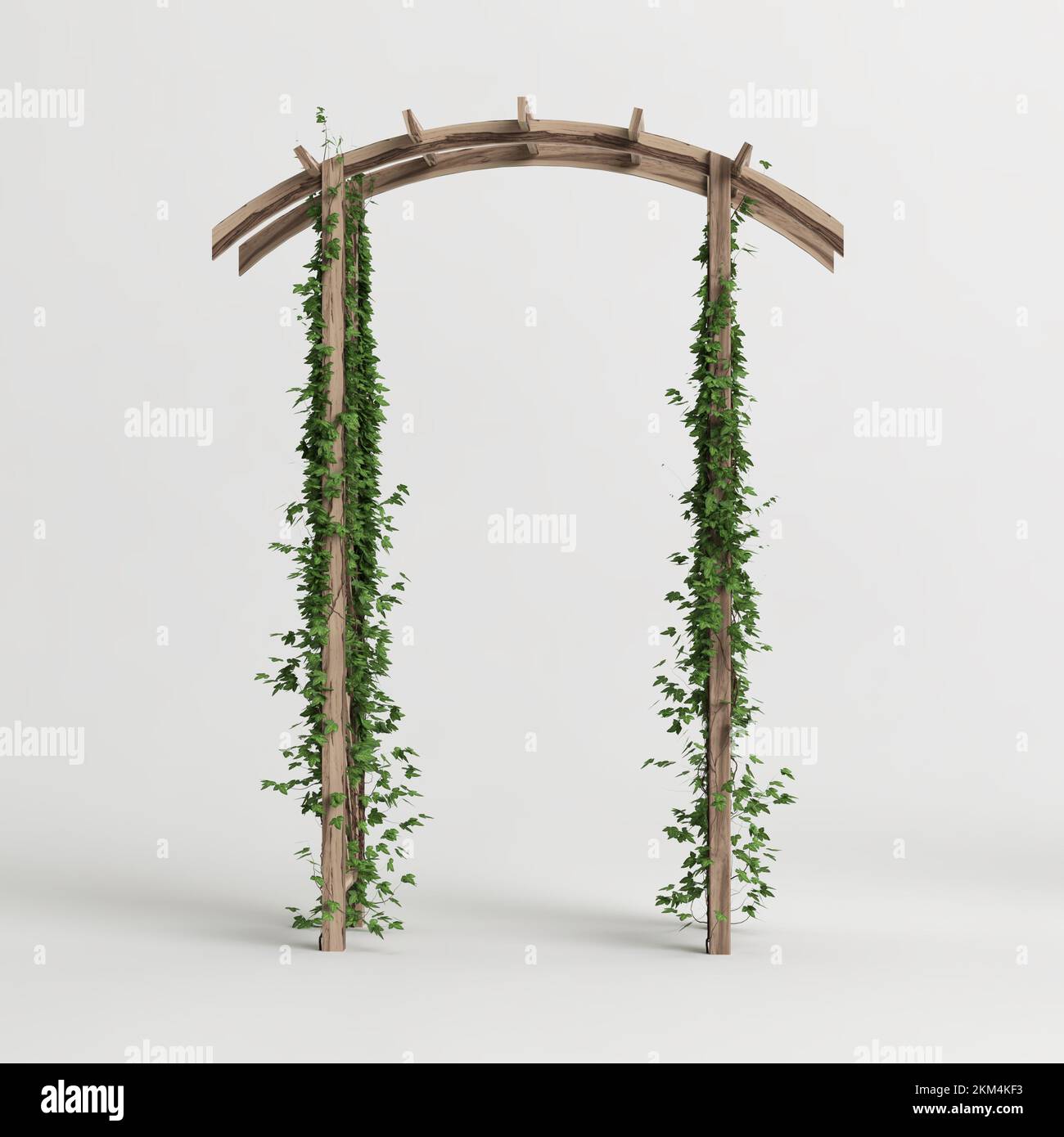 3d illustration of wooden arched ivy isolated on white background Stock ...
