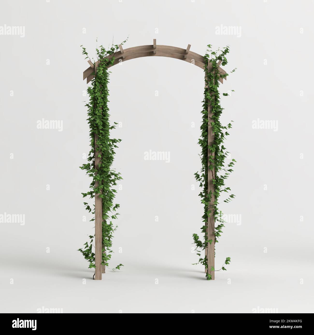 3d illustration of wooden arched ivy isolated on white background Stock ...