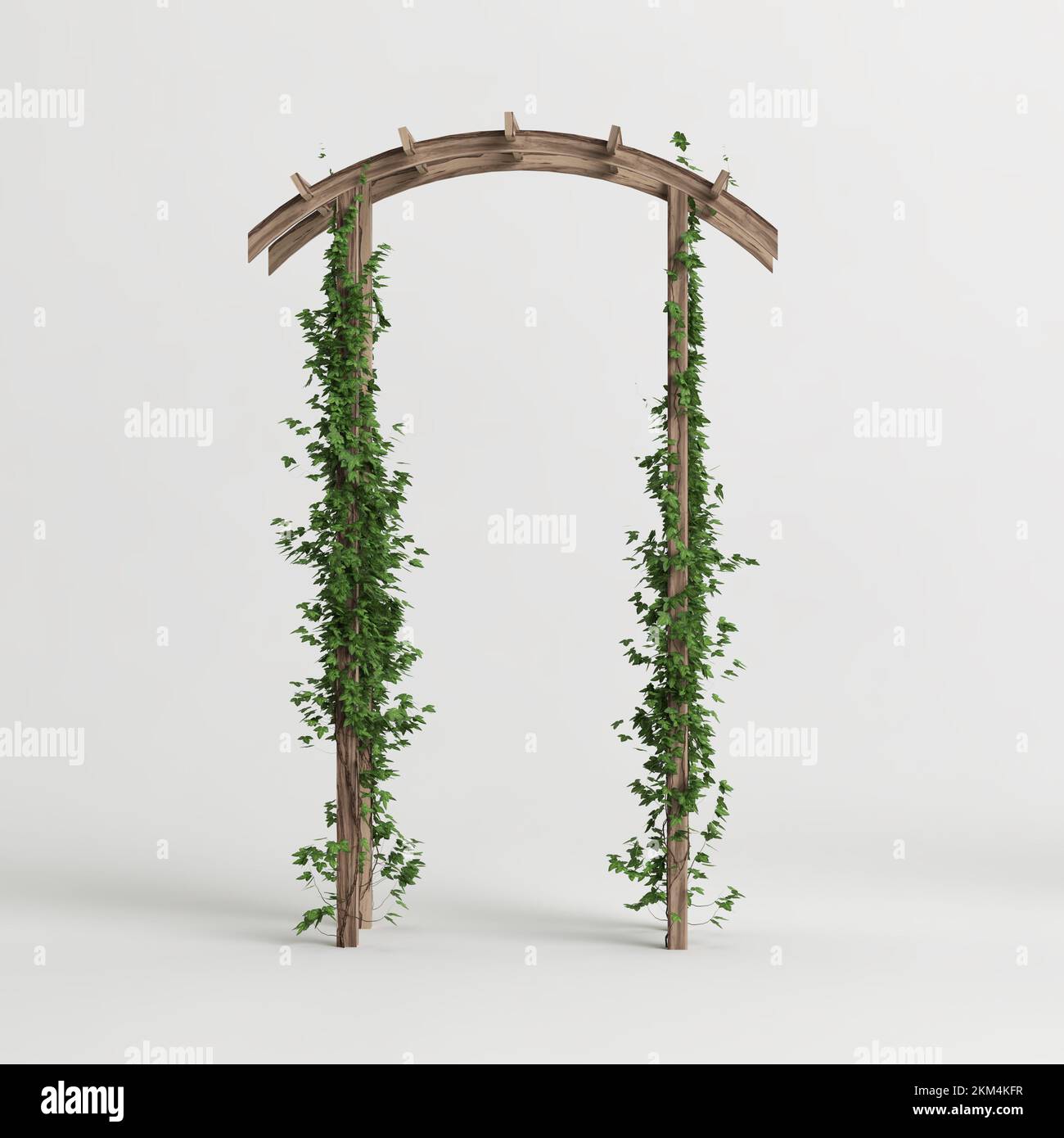 3d illustration of wooden arched ivy isolated on white background Stock Photo - Alamy