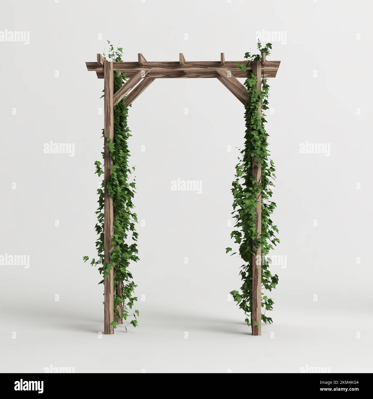 3d illustration of wooden arched ivy isolated on white background Stock ...