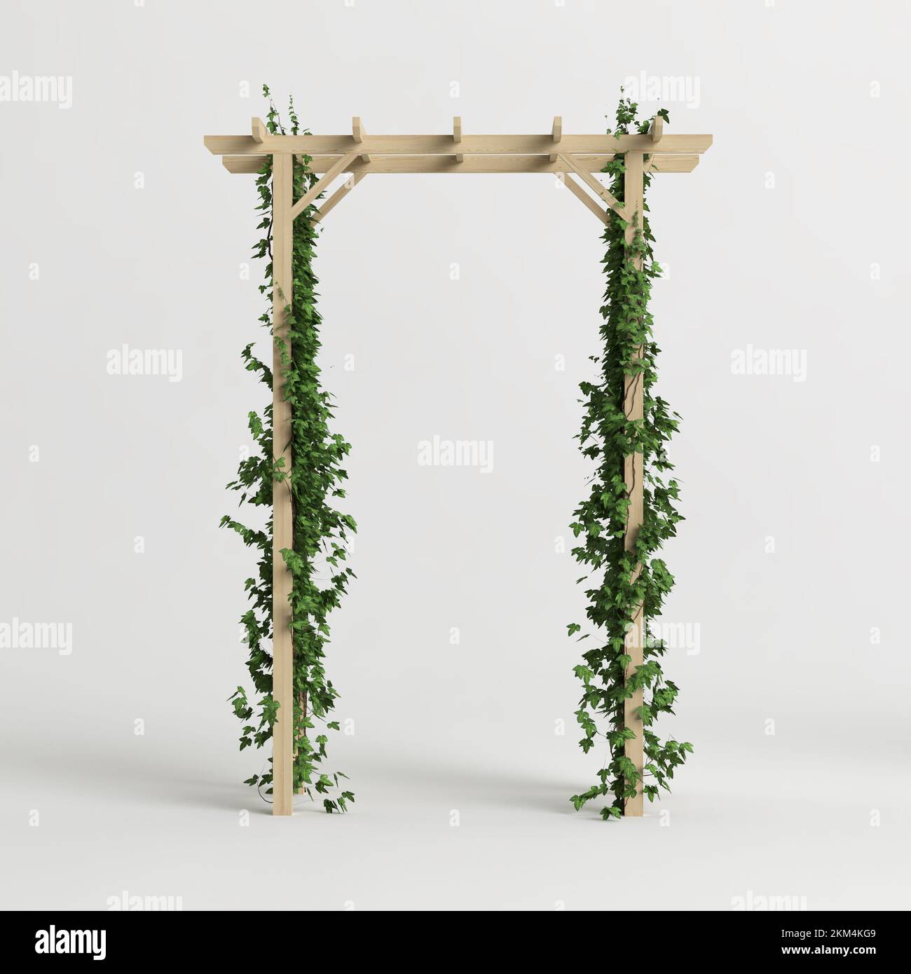 3d illustration of wooden arched ivy isolated on white background Stock ...