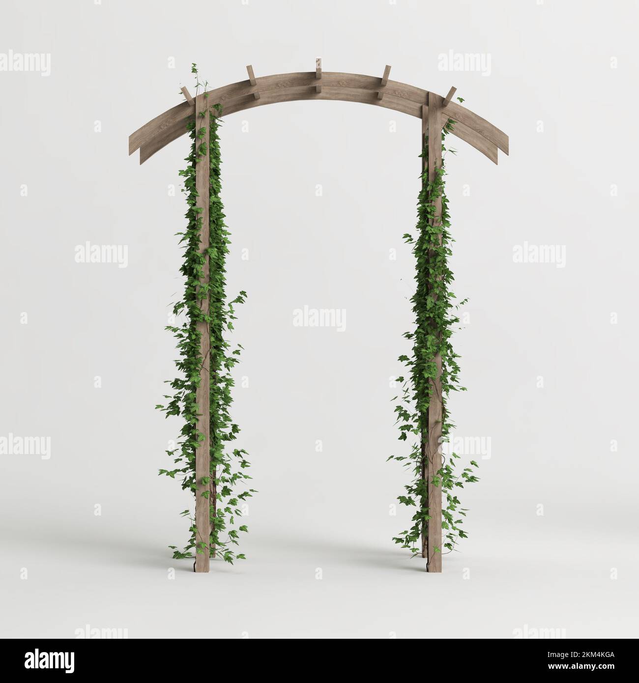 3d illustration of wooden arched ivy isolated on white background Stock ...