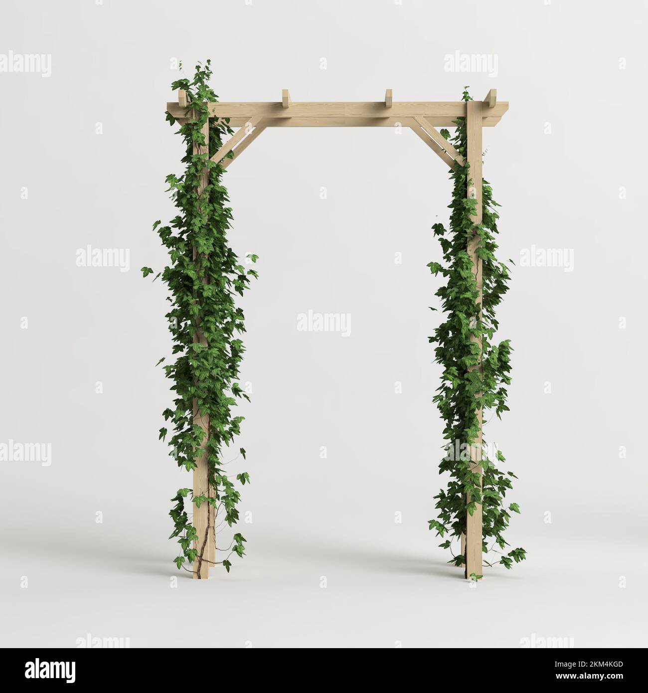 3d illustration of wooden arched ivy isolated on white background Stock ...