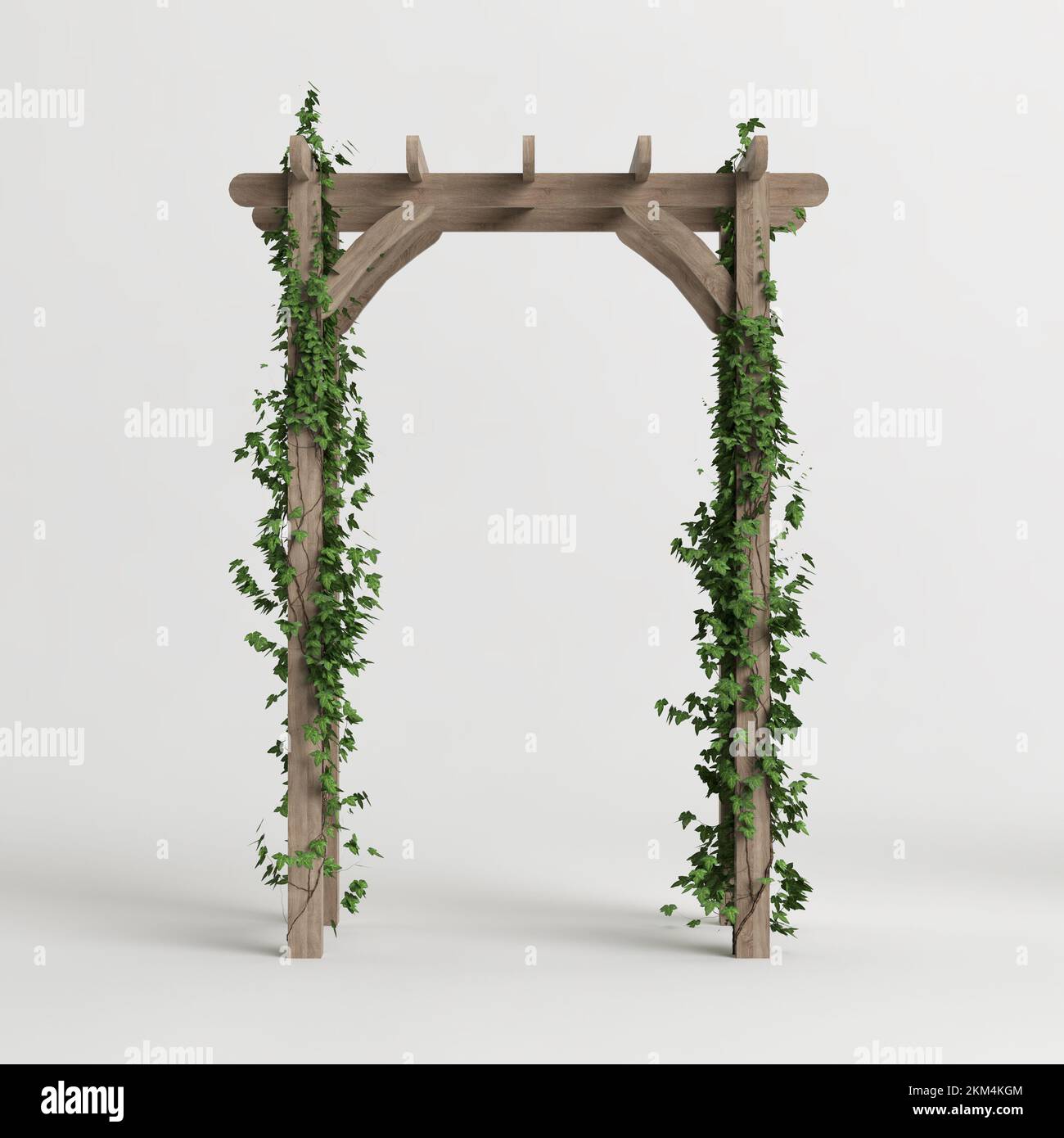 3d illustration of wooden arched ivy isolated on white background Stock ...