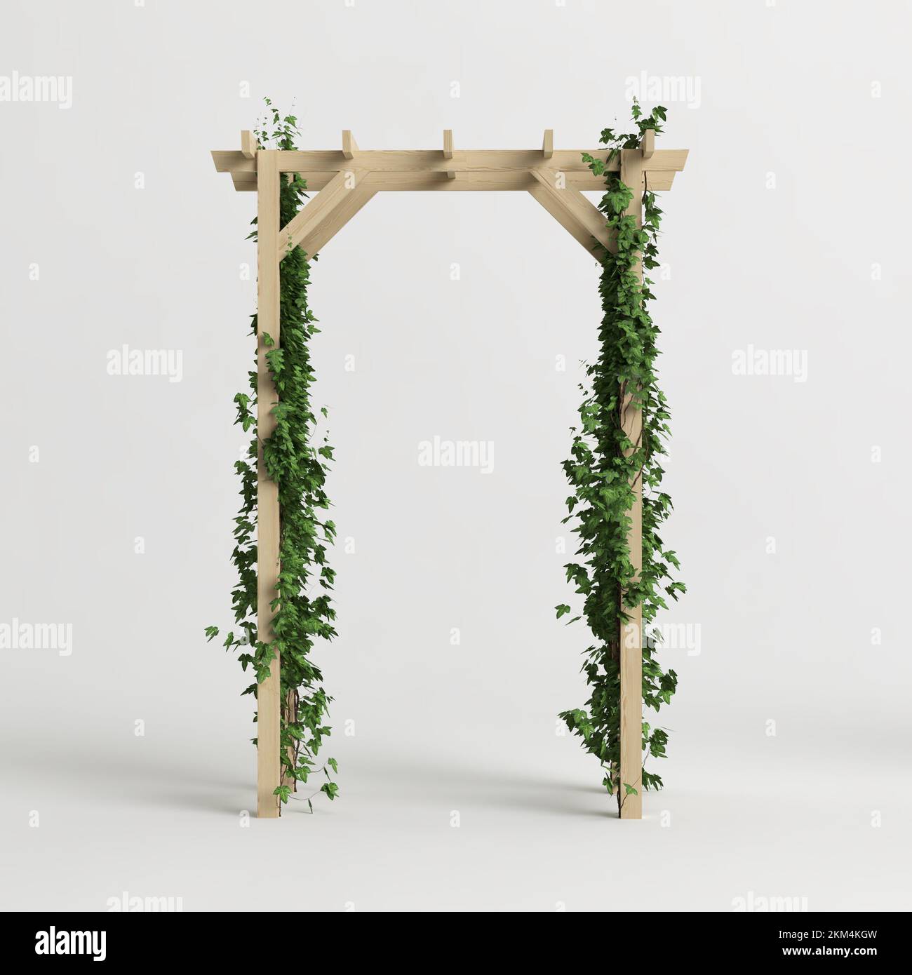 3d illustration of wooden arched ivy isolated on white background Stock ...