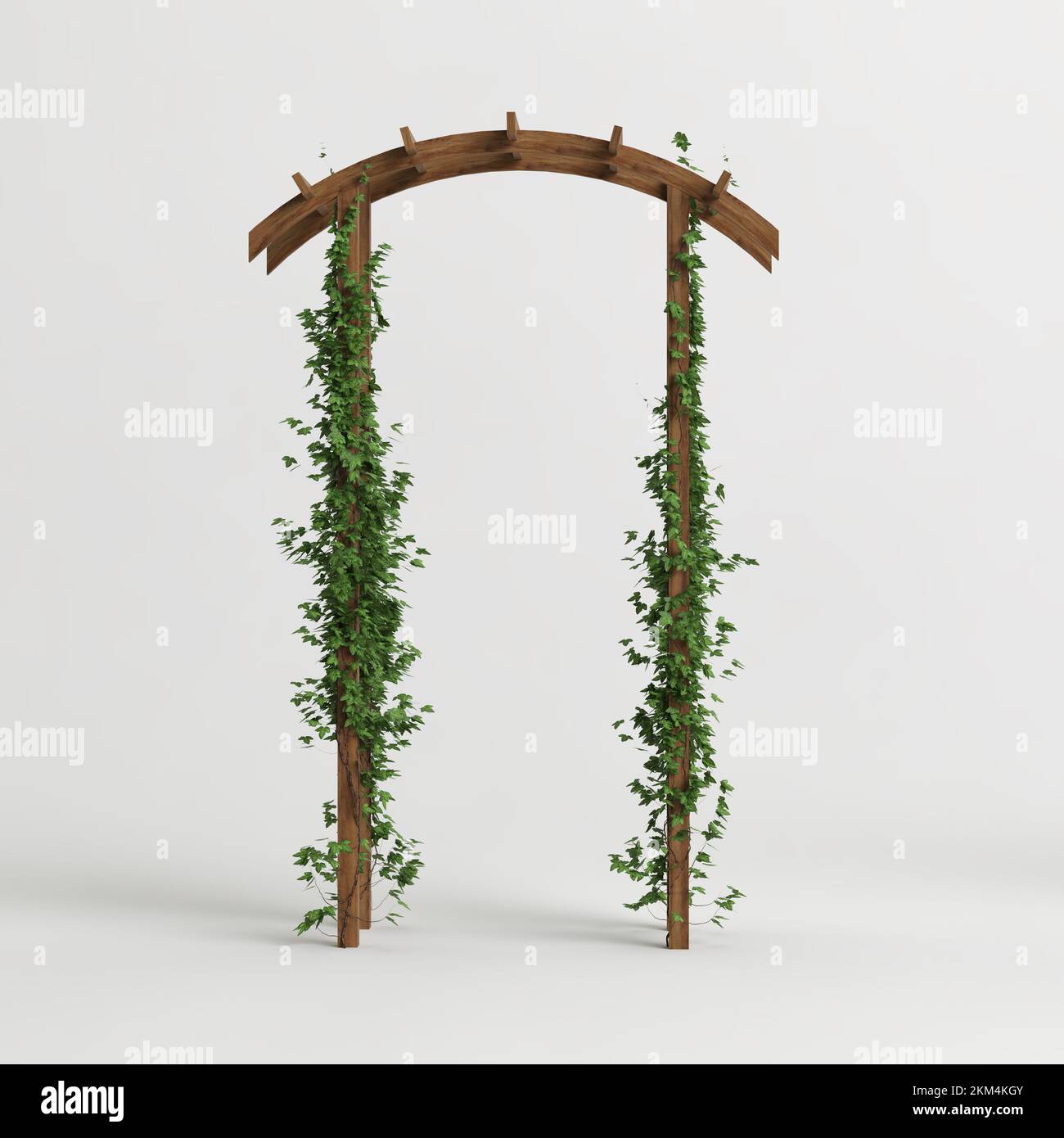 3d illustration of wooden arched ivy isolated on white background Stock ...