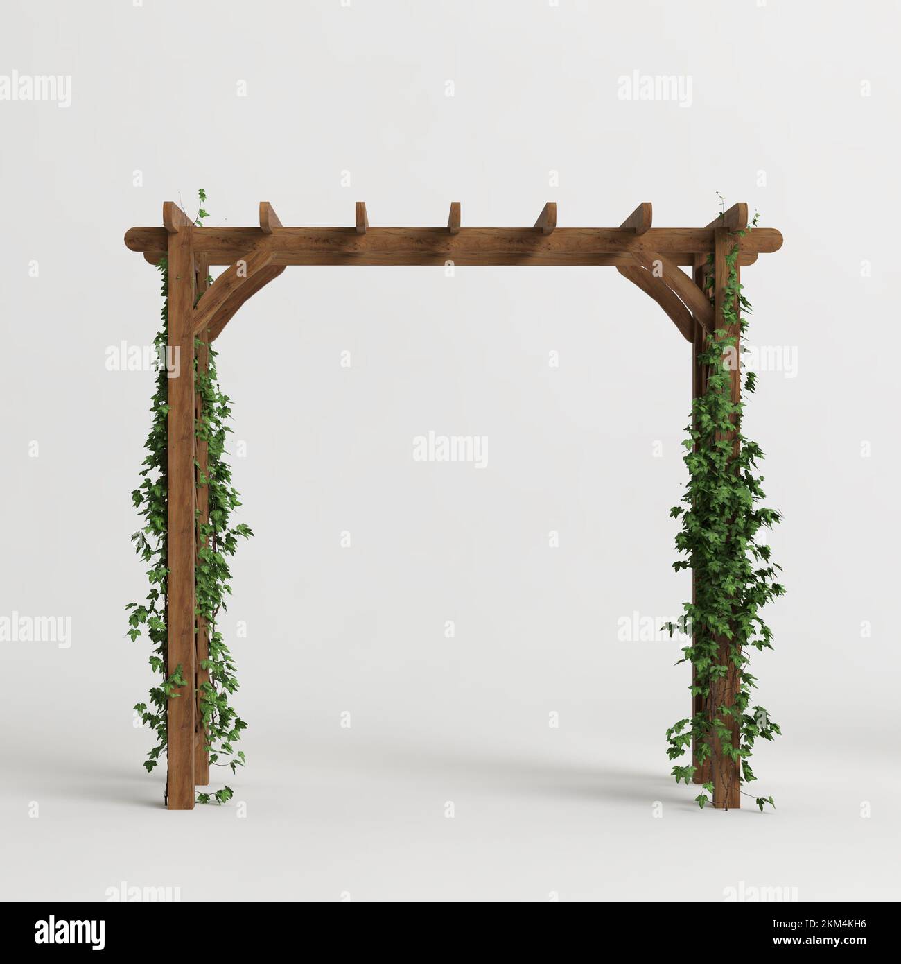 3d illustration of wooden arched ivy isolated on white background Stock ...