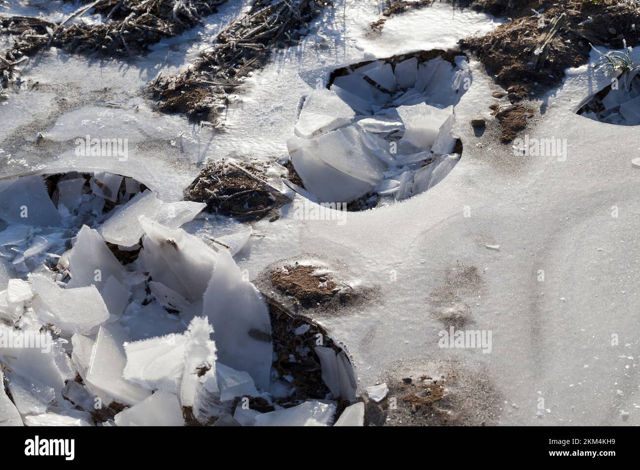 a thick layer of ice formed on the territory of the field after rains ...