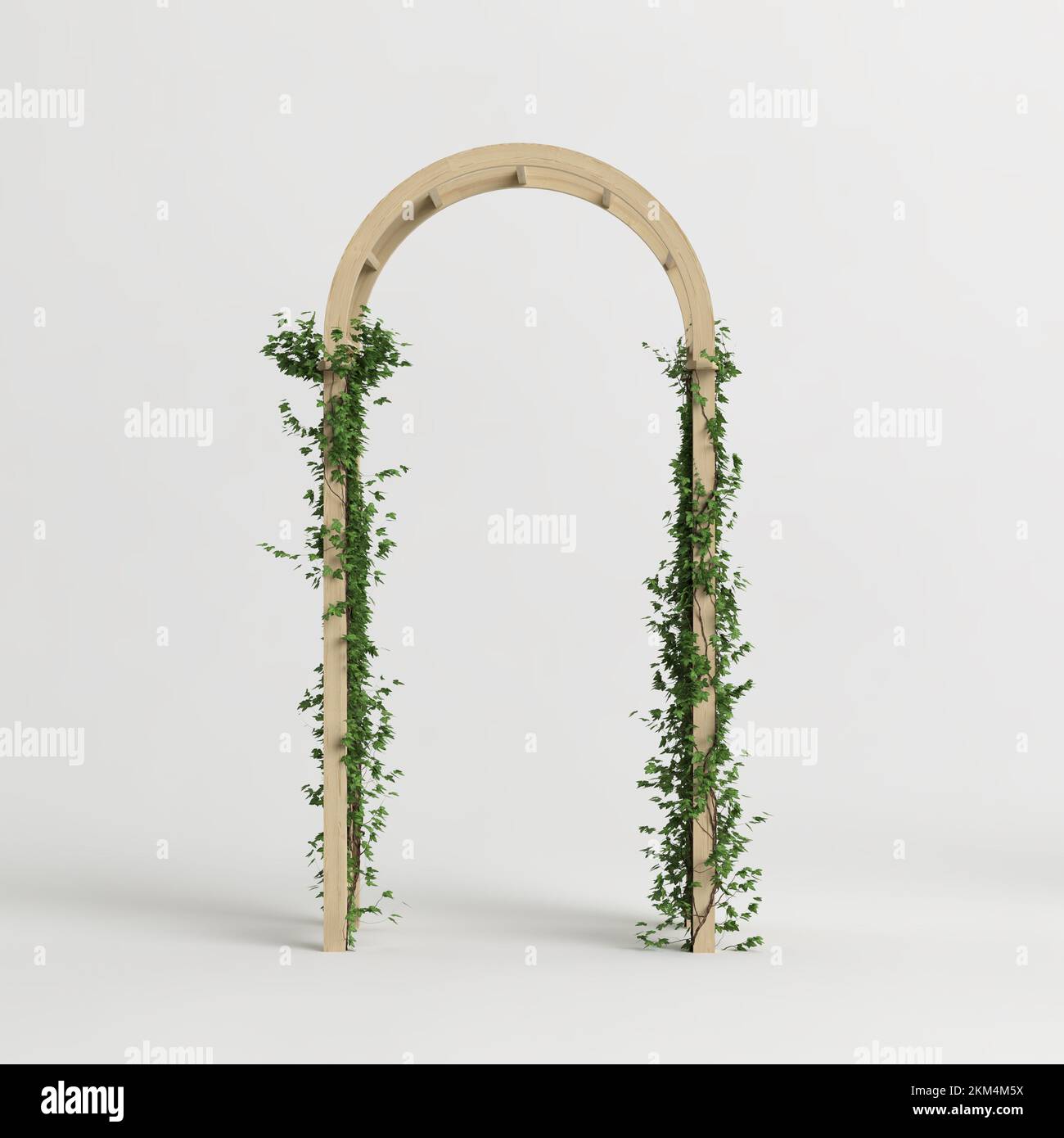 3d illustration of wooden arched ivy isolated on white background Stock ...