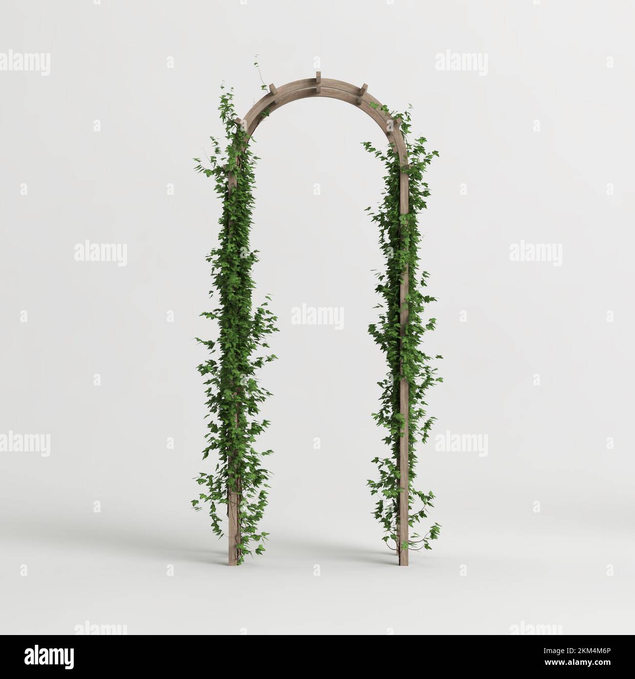 3d illustration of wooden arched ivy isolated on white background Stock ...
