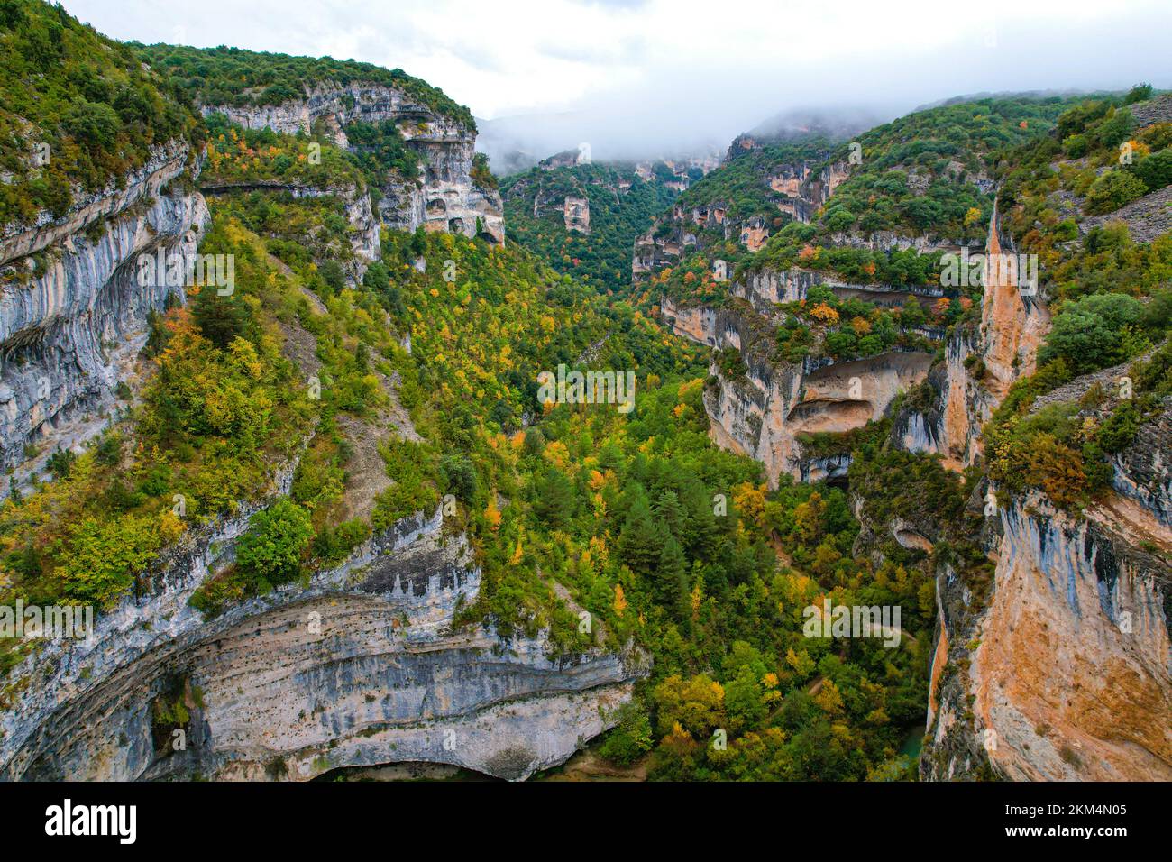 Aerial view of the leaves changing colours in the pyrenees mountains ...
