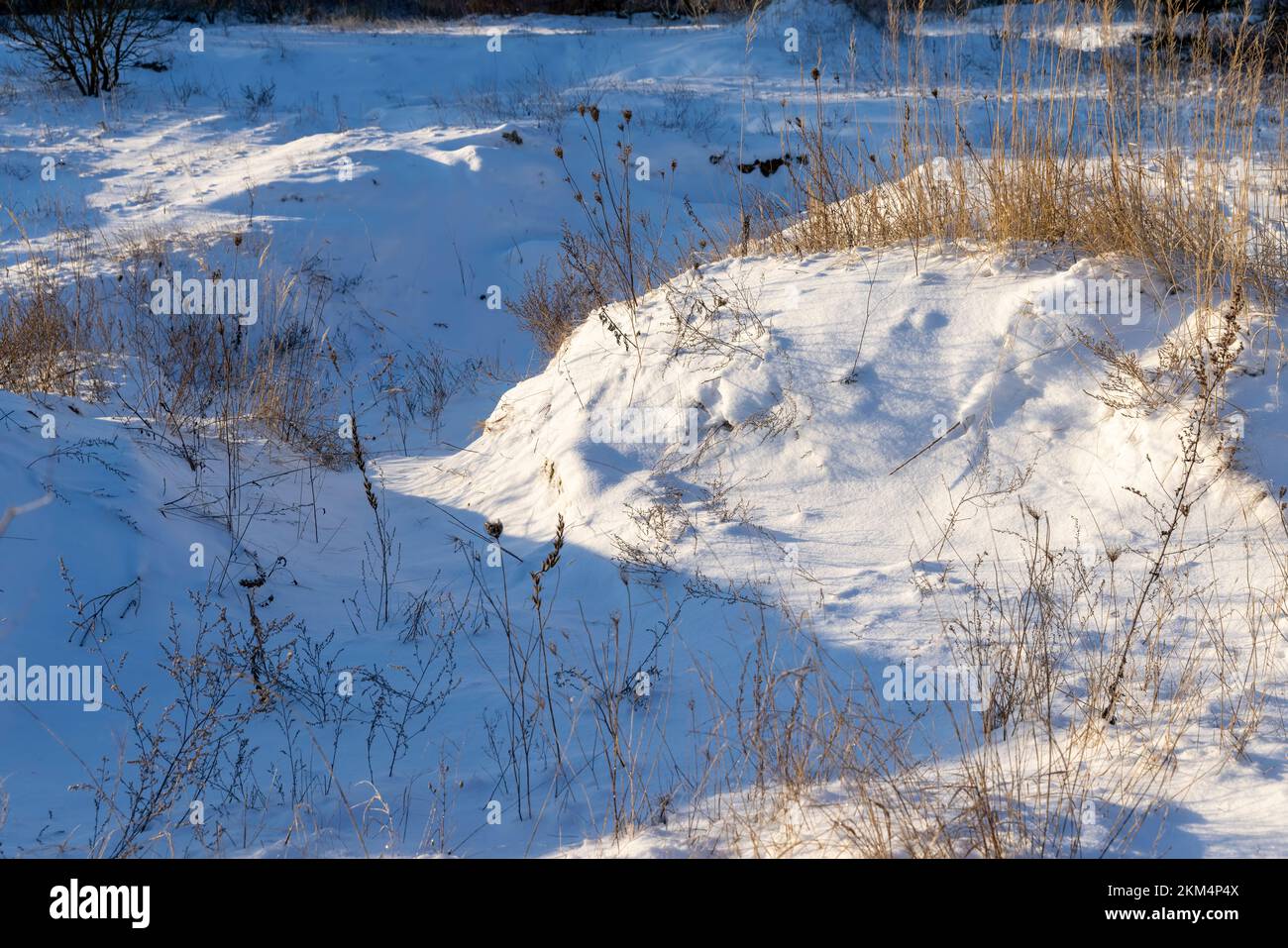 winter season with snowdrifts after snowfall, fresh and clean snow in ...